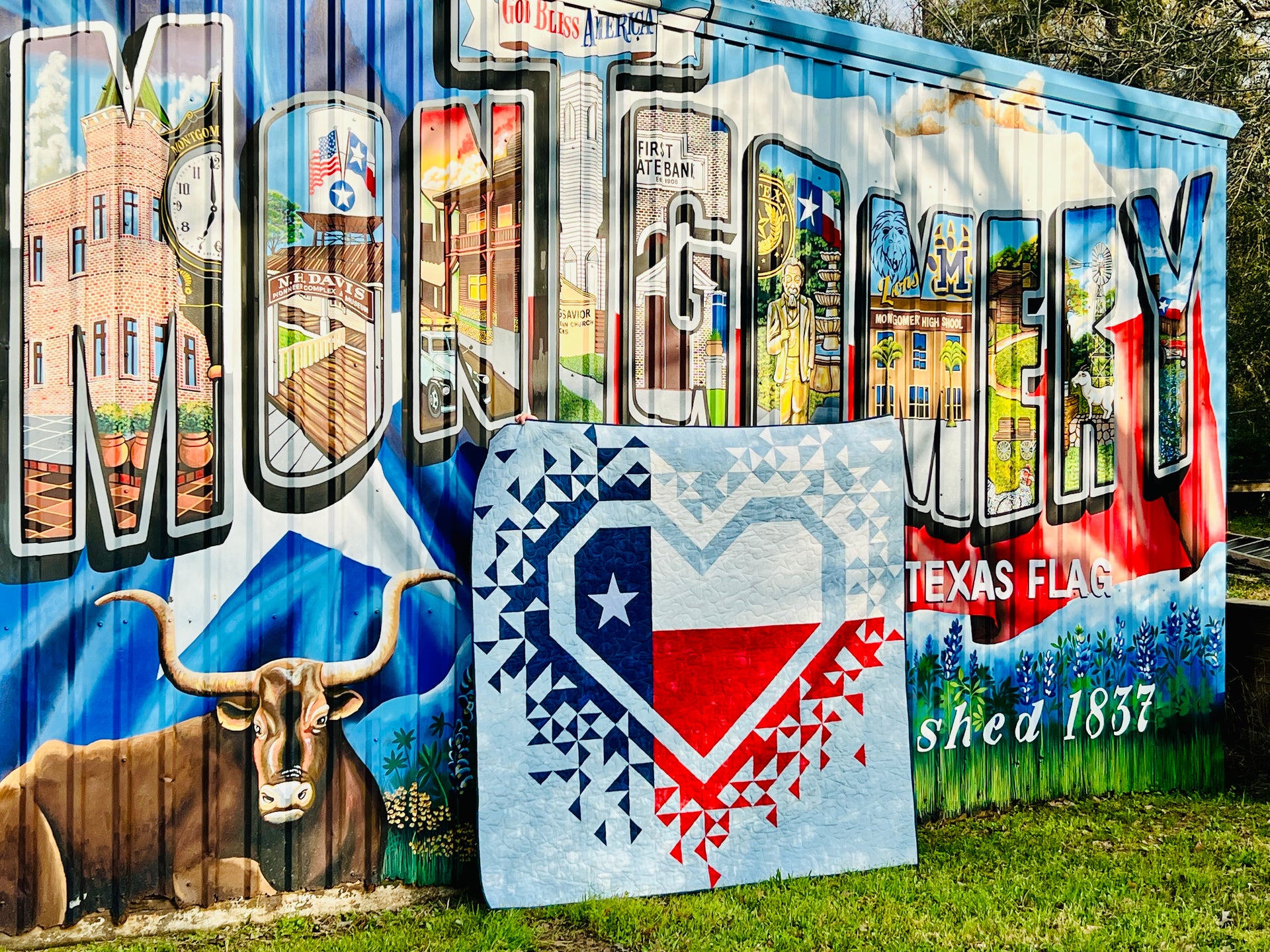 Exploding Heart of Texas Quilt Kit - Canvas – Threaded Lines